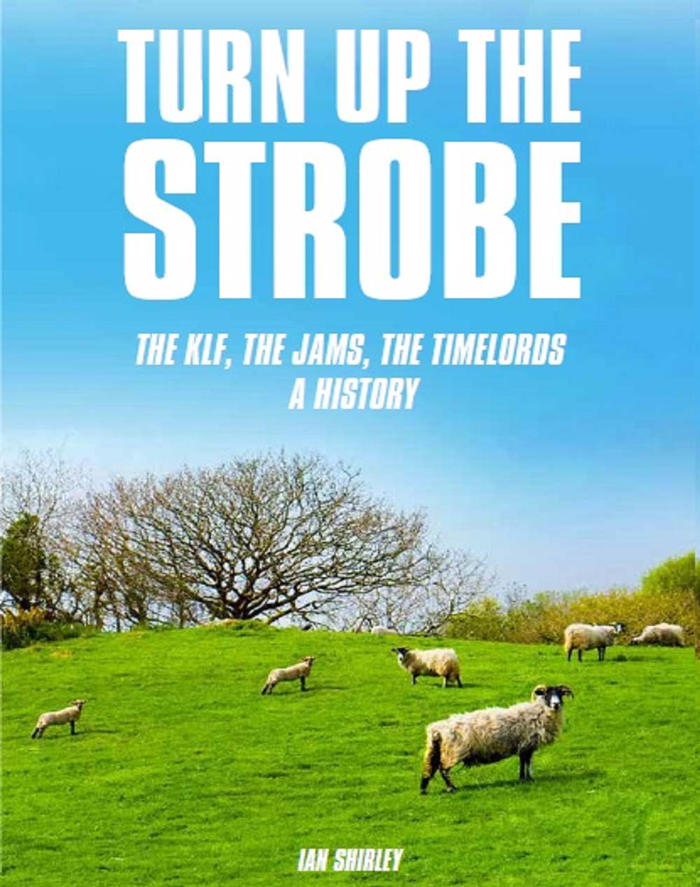 Turn Up The Strobe: The KLF, The Jams, The Timelords â€“ A History. Ian ...