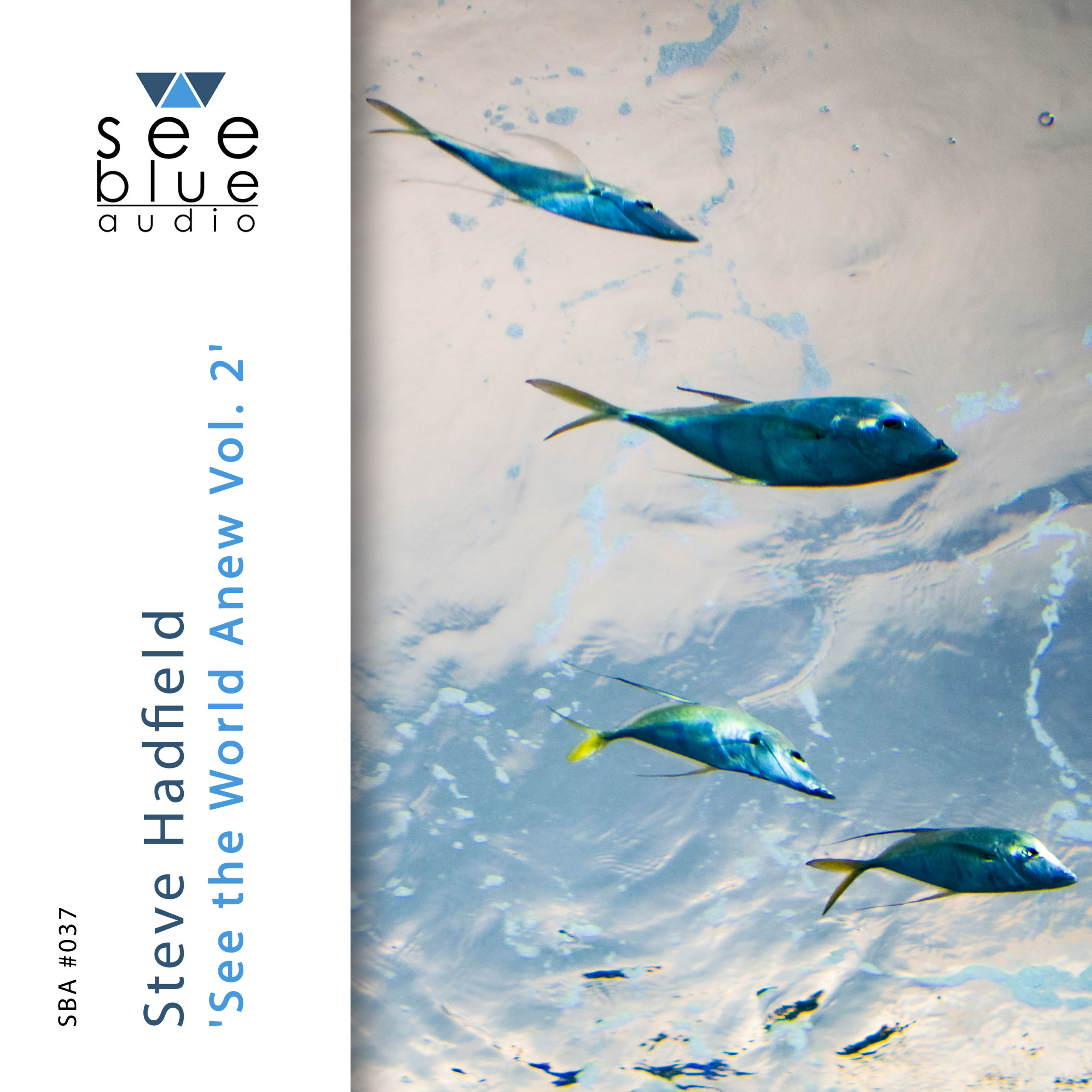 Steve Hadfield – See the World Anew Vol. 2 – See Blue Audio – magazinesixty